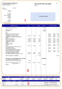 Payslip in France: How does it work? – Parakar